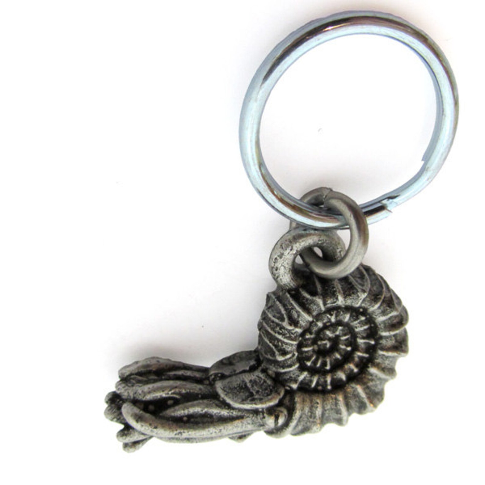Ammonite Keychain Fossil Keychain Paleontology Cephalopod - Etsy