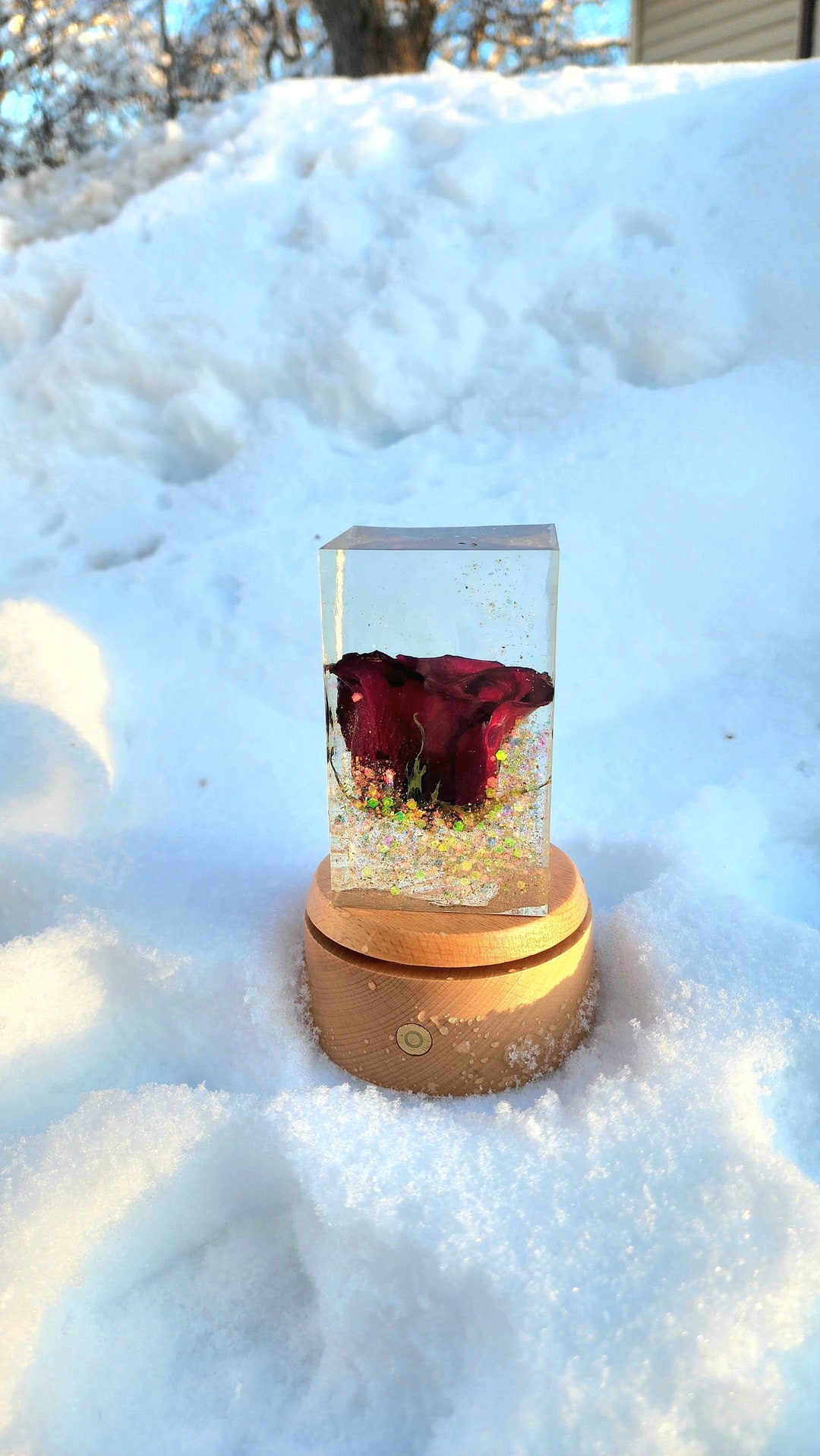 Enchanted Rose * Optional Rotating Base * Custom Color Led * Usb Light ...