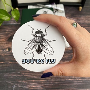 You're Fly Sticker, Insect Sticker, Adult Stickers, Entomology Gift ...