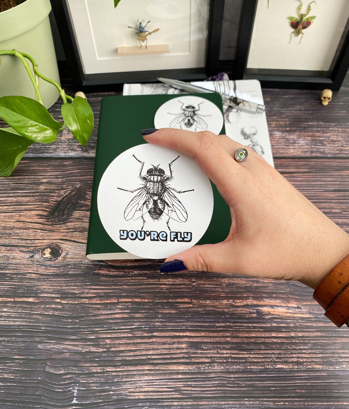 You're Fly Sticker Insect Sticker Adult Stickers - Etsy