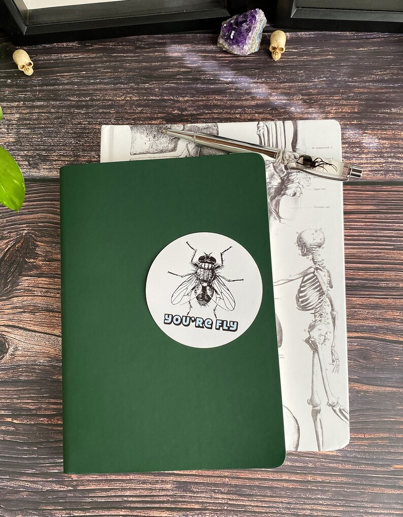 You're Fly Sticker Insect Sticker Adult Stickers - Etsy