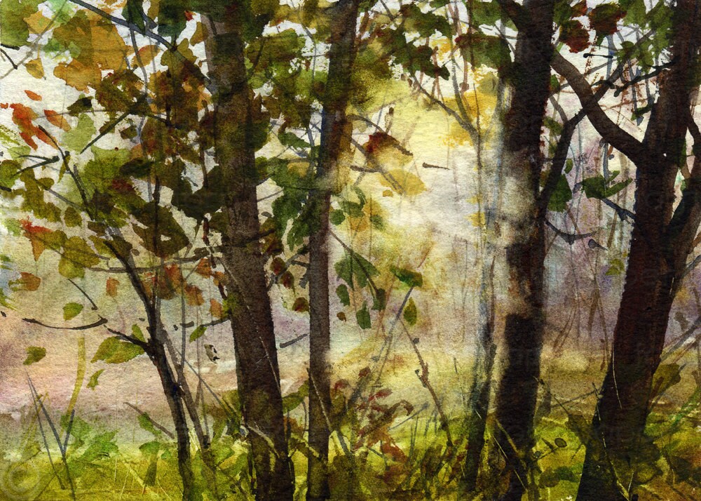 Morning Light WATERCOLOR PRINT Original Painting by Linda - Etsy