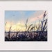 The Promise of a New Day WATERCOLOR PRINT of a Painting by - Etsy