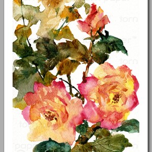 Set of 6 NOTE CARDS - "peace Roses" Watercolor Paintings of Peach and ...