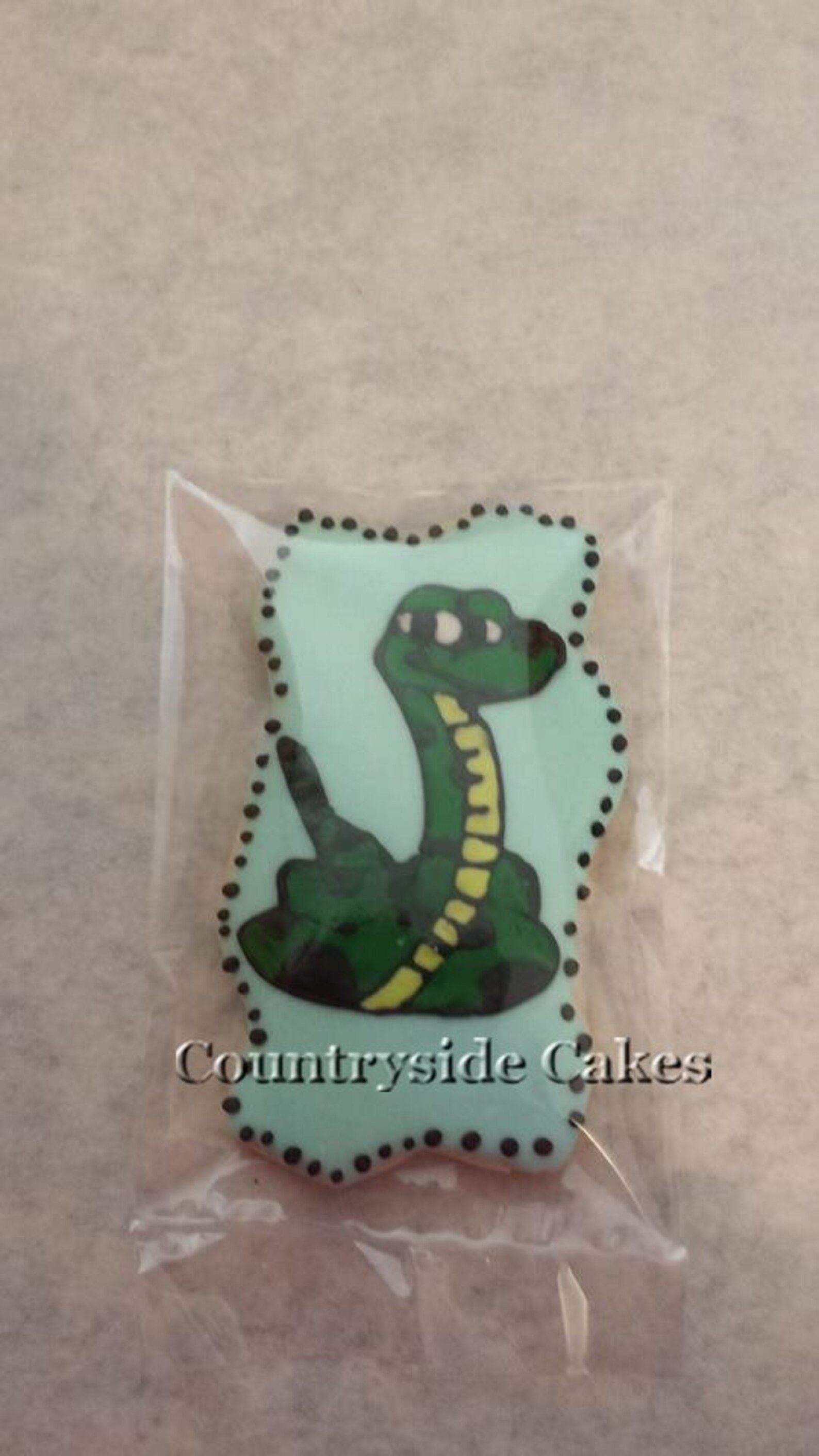 Rattlesnake Snake Decorated Sugar Cookies 1 Dozen | Etsy