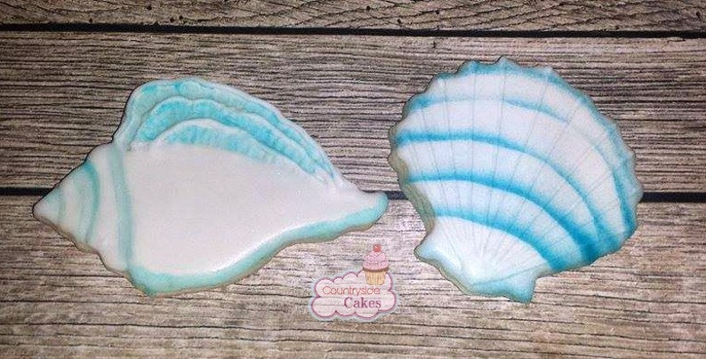 Seashell Decorated Sugar Cookies 1 Dozen - Etsy