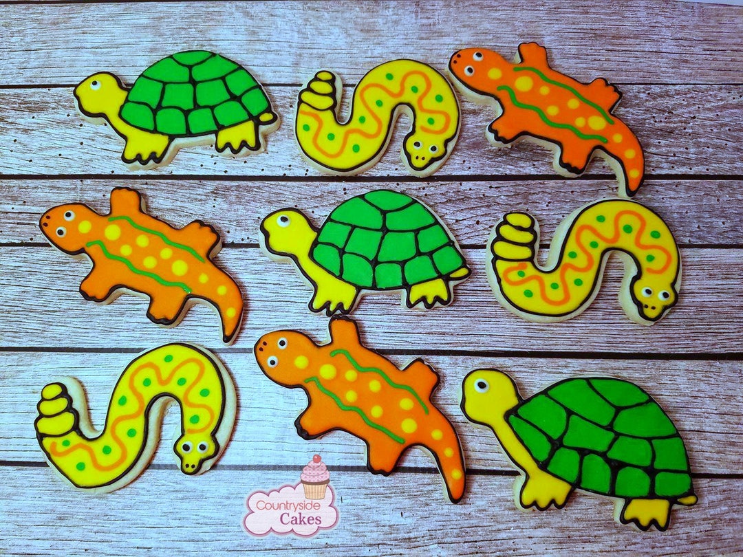 Snake Turtle Lizard Reptile Decorated Sugar Cookies 3 - Etsy