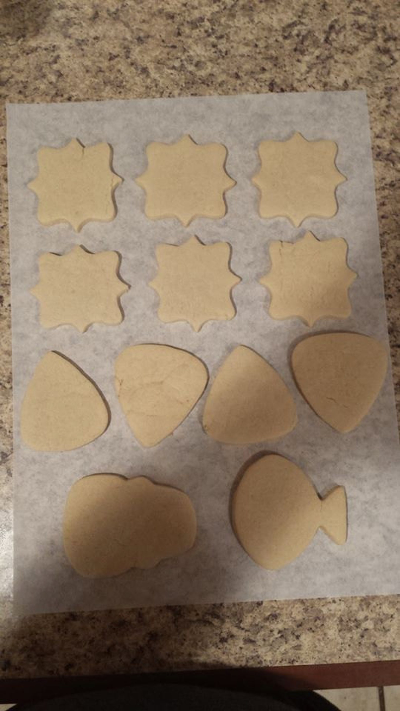 Decorate Your Own Undecorated Sugar Cookies-1 Dozen Choose - Etsy