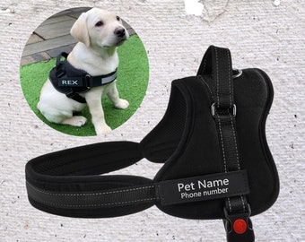 Dog Harness With Custom Name - Etsy