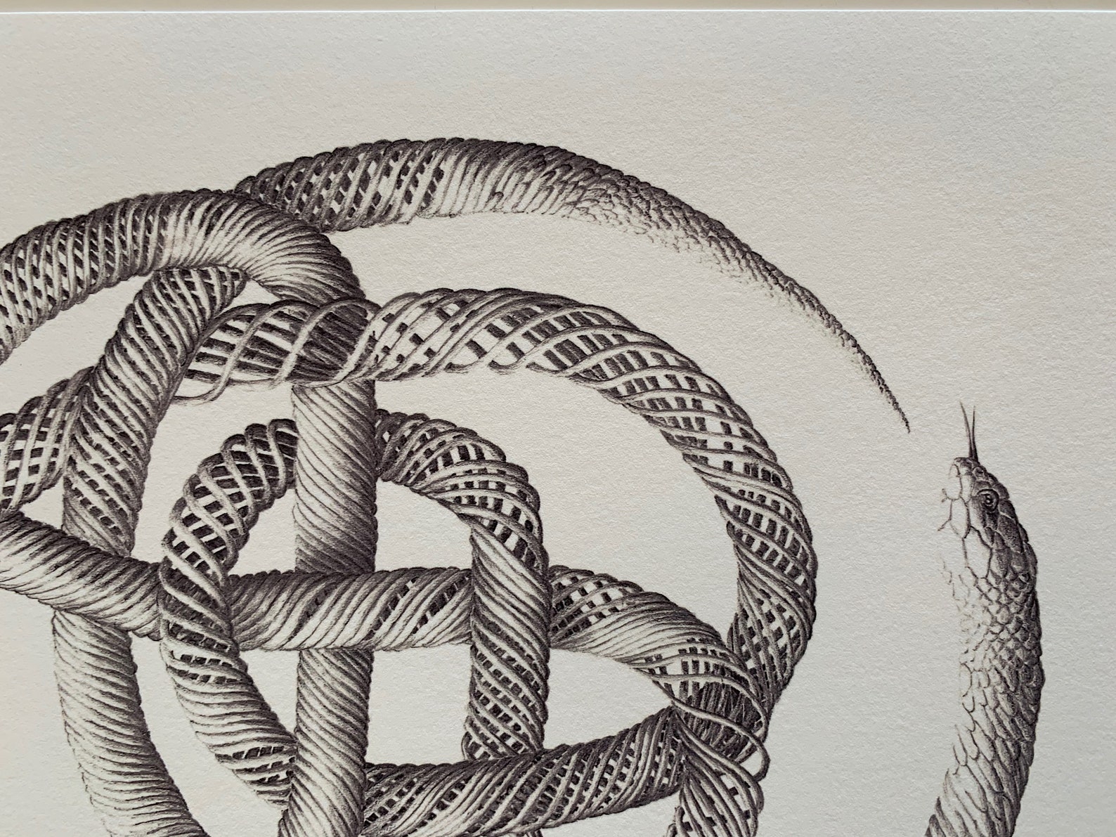 Surreal Drawing of a Snake Woven in a Knot - Fine Art Print - Etsy