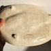 Salt Marsh Pottery Sand Dab Platter Ceramic Fish Plate Dartmouth Mass ...