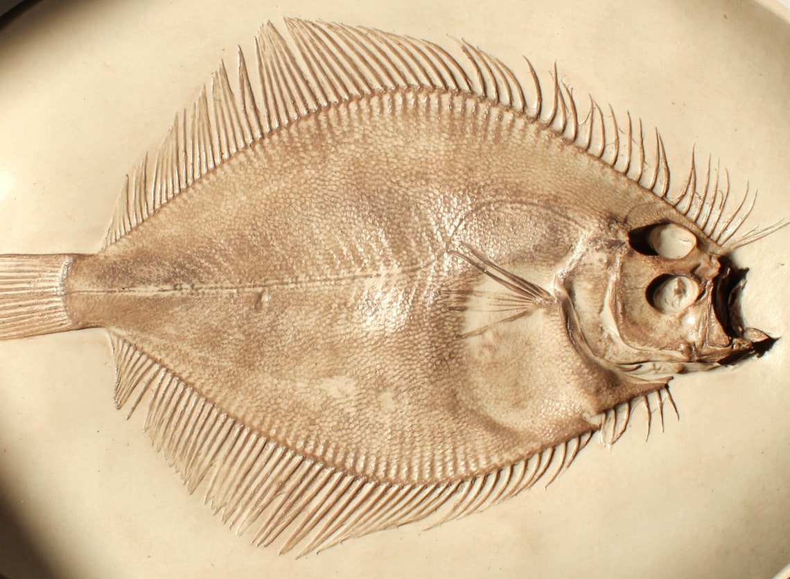 Salt Marsh Pottery Sand Dab Platter Ceramic Fish Plate | Etsy