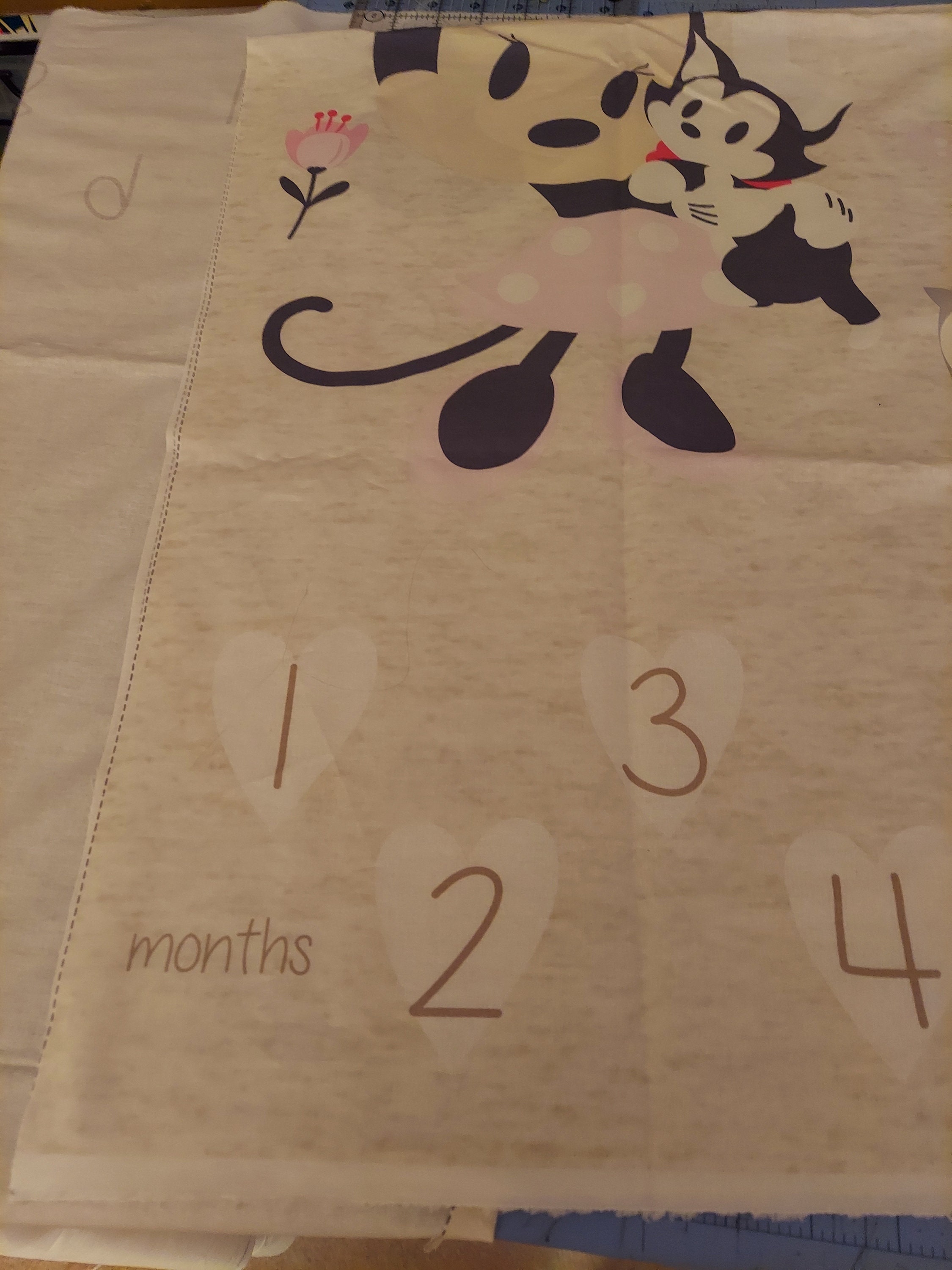 Minnie Mouse Fabric Panel Months Photo Op - Etsy
