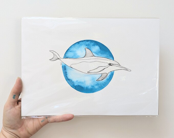Dolphin Original Ink Drawing on A4 Watercolour Paper - Etsy