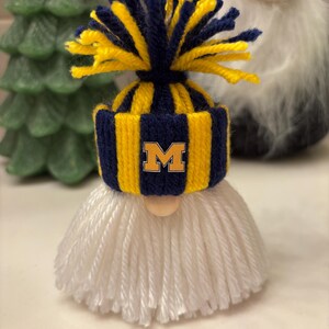 Team Spirit Gnomies, MORE TEAMS Coming Soon! College, Nfl, ND, Bills ...