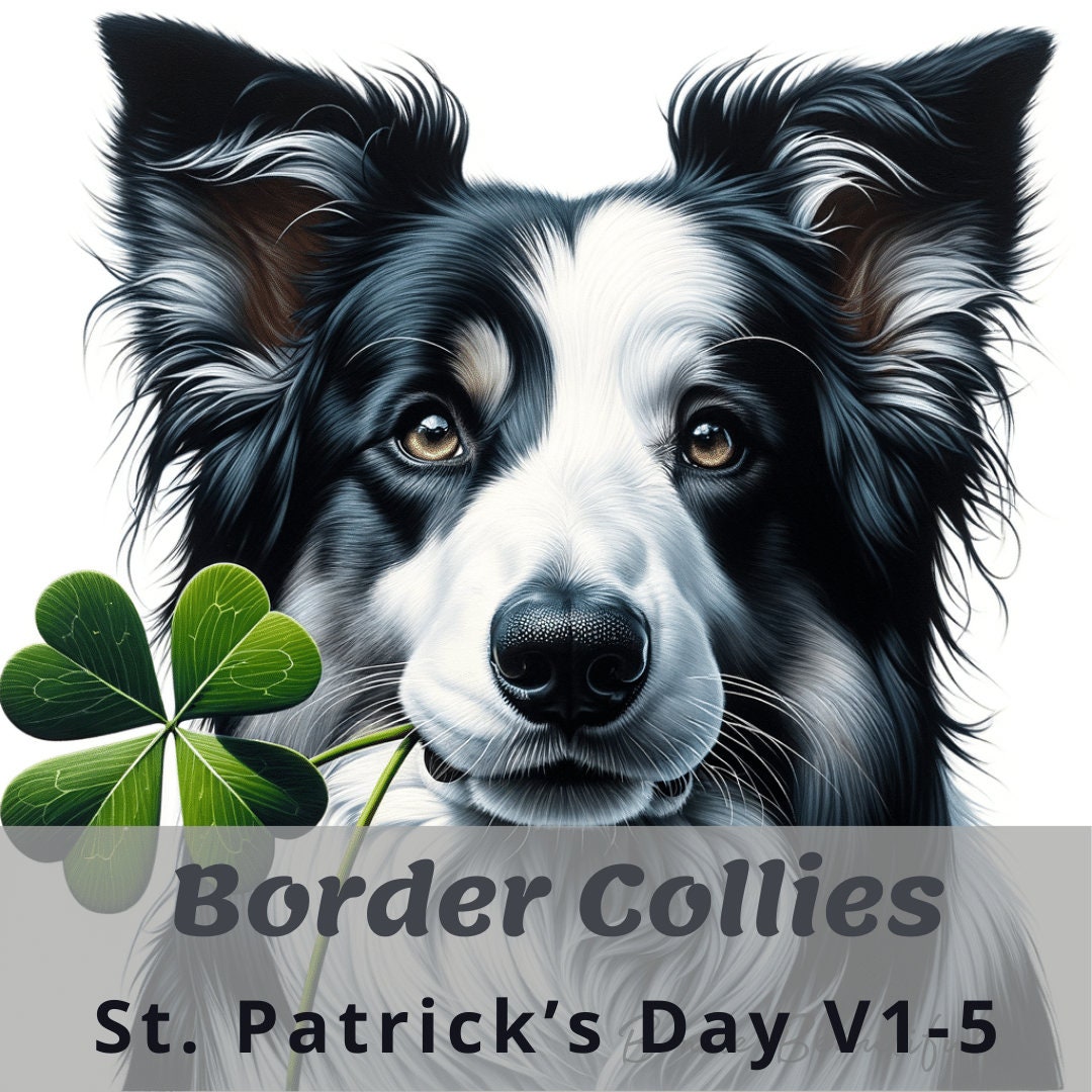 St. Patrick's Day Border Collie Digital Art Volume 1-5 - Etsy