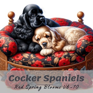Cocker Spaniel Valentine: Adorable Cocker Spaniel on a Dog Bed ...