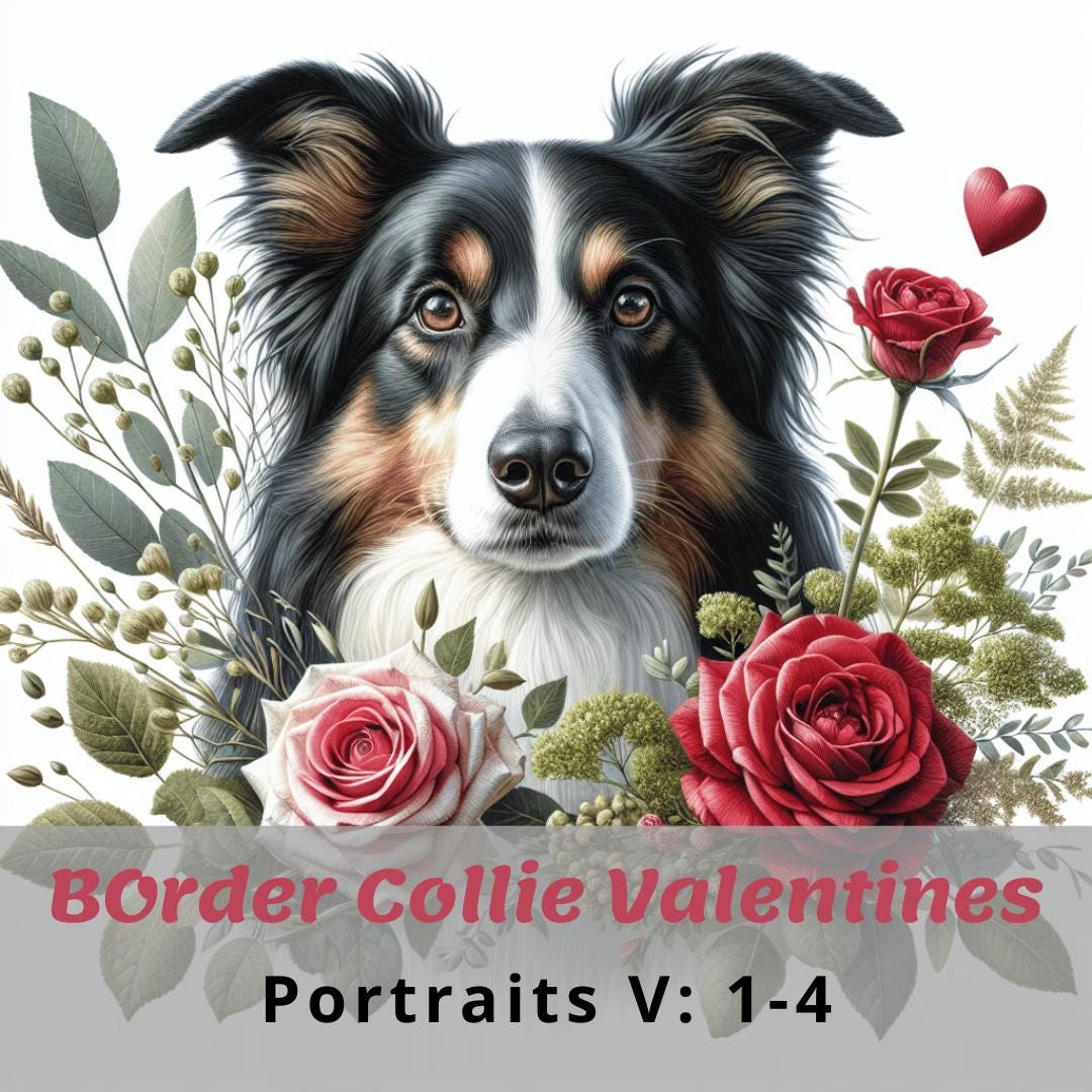 Border Collie Valentine Digital Art BUNDLE - Etsy
