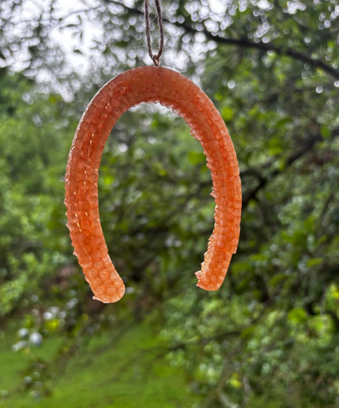 Lucky Golden Horseshoe Freshie, Horseshoe Freshie, Unique Gift, Freshie ...