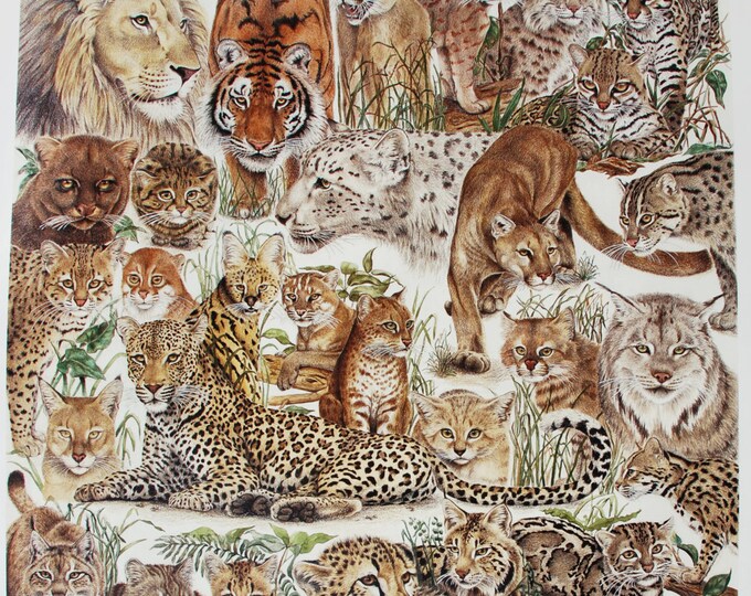 Wildcats of the World Print, Poster, Lion, Tiger, Caracal, Rusty ...