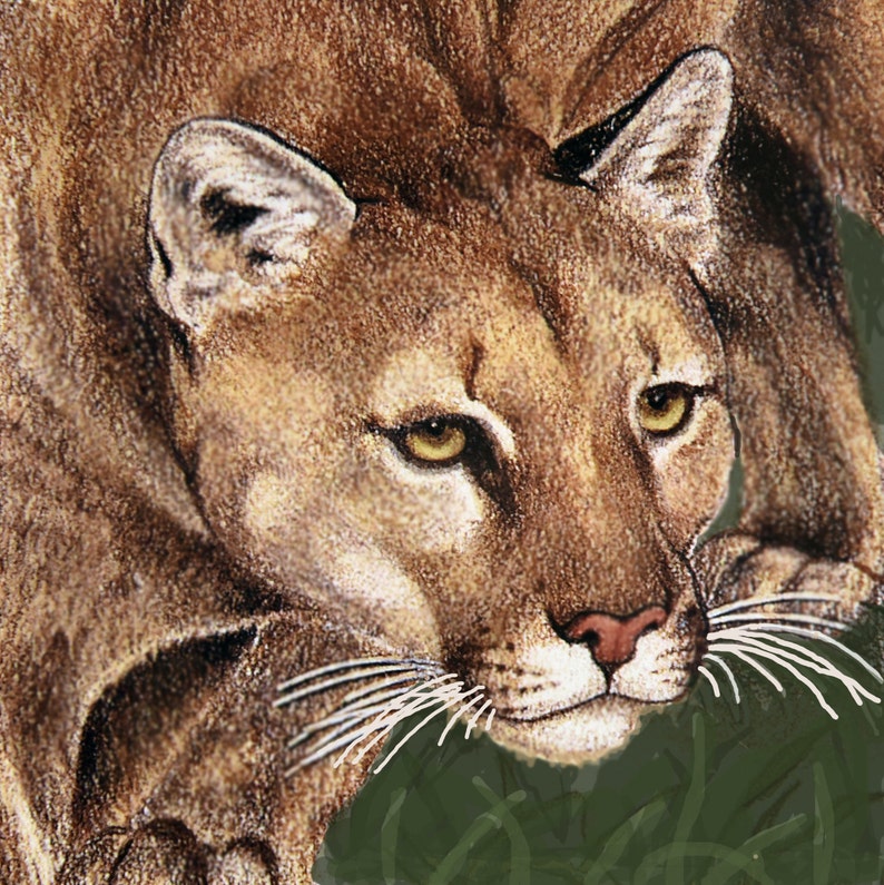 Puma Mountain Lion Cougar Earrings Jewelry Florida | Etsy