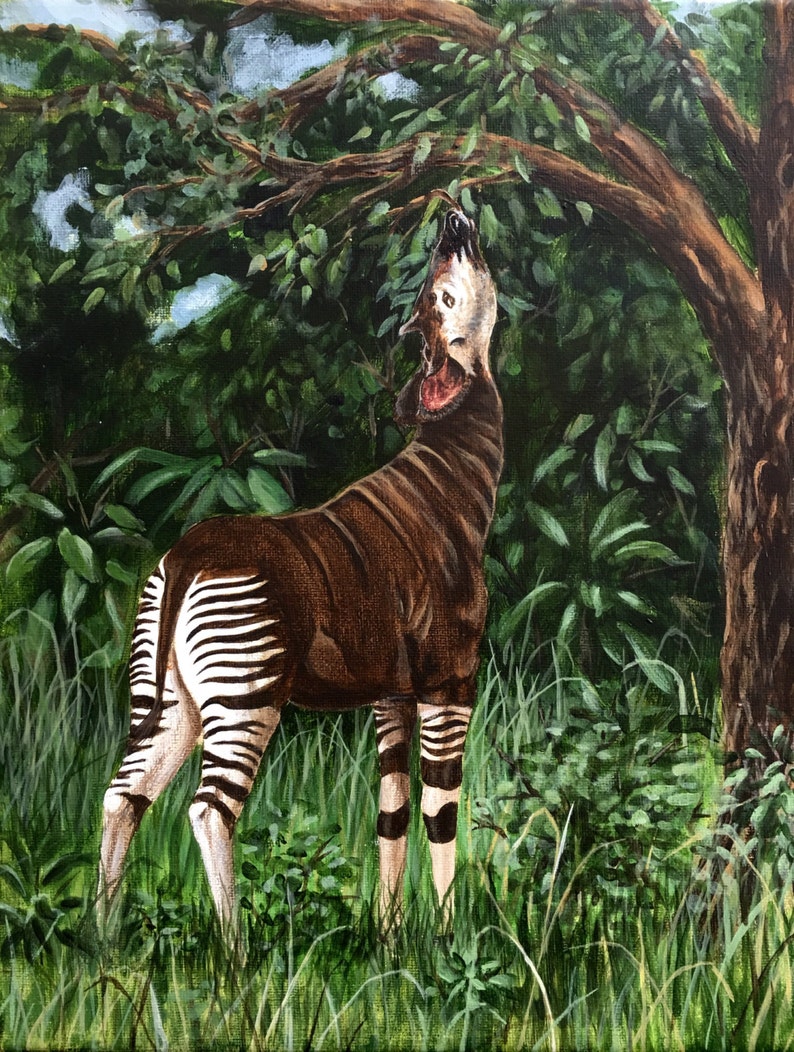 Okapi Necklace Okapi Jewelry Wildlife Jewelry Wildlife Art | Etsy