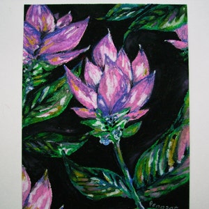Pink Curcuma Lily, Small Oil Pastel Flower Drawing, Pink Flower, Wall ...