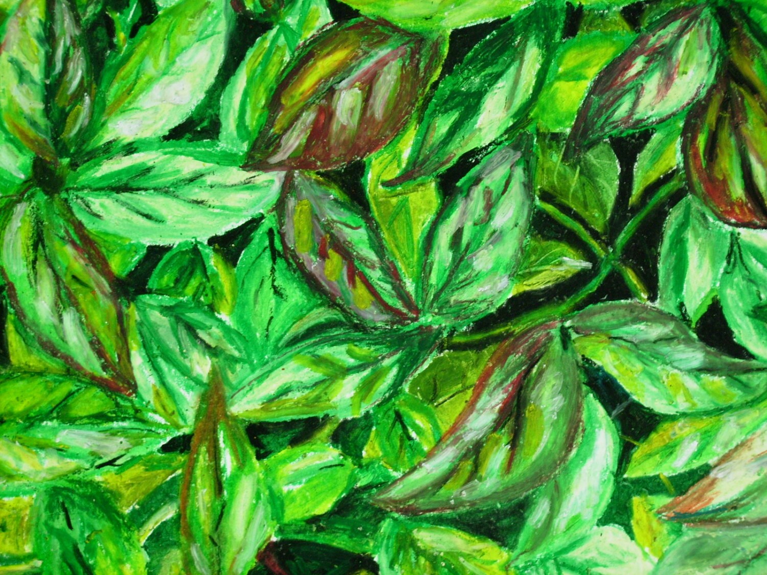 Leaves, Original Oil Pastel Drawing on 14x17 Bristol Board, Green ...