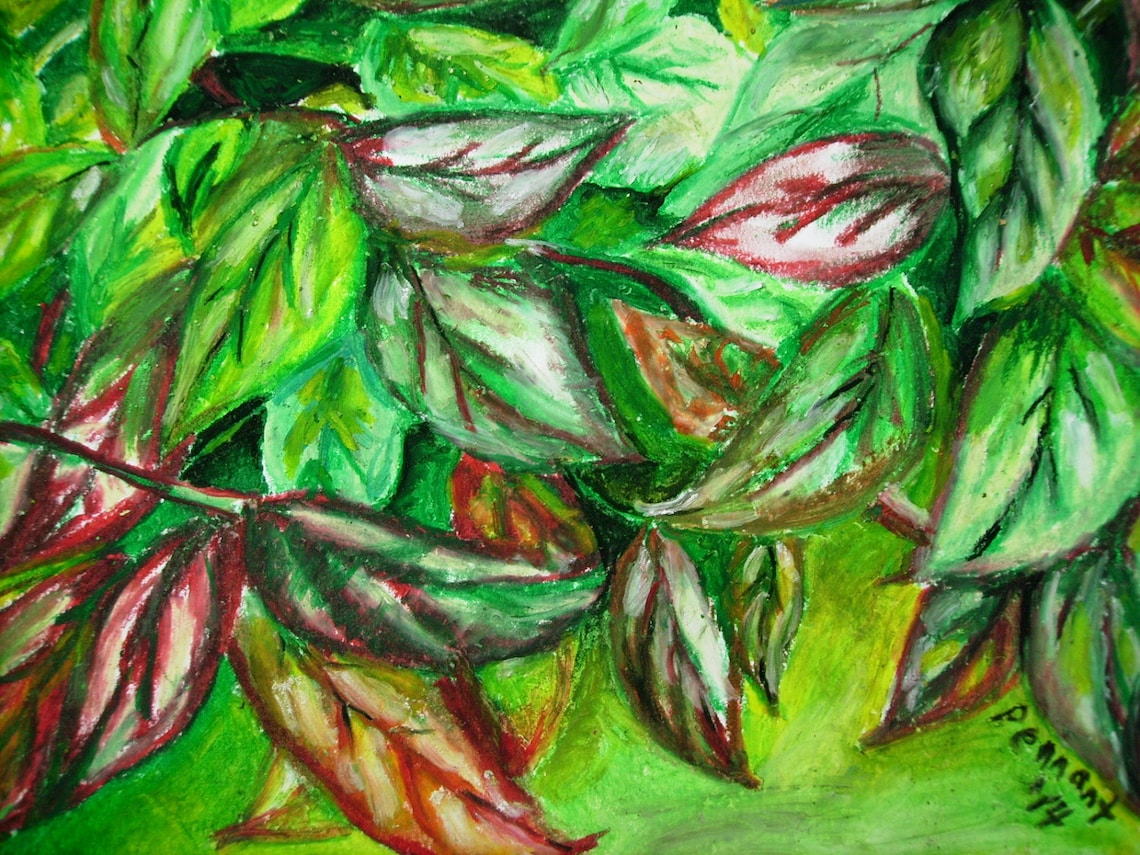 Leaves, Original Oil Pastel Drawing on 14x17 Bristol Board, Green ...