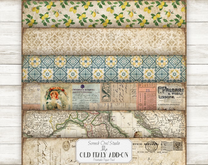 2 Sheets Dragonflies and Flowers Florentine Italian Print - Etsy