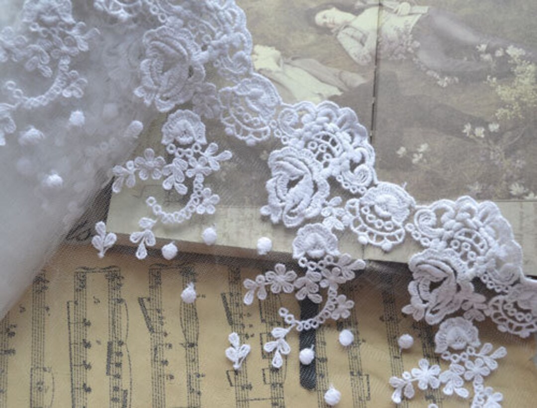 3 Yards Lace Triming White Mesh Lace Embroidered Rose Lace Trim 7.08 ...