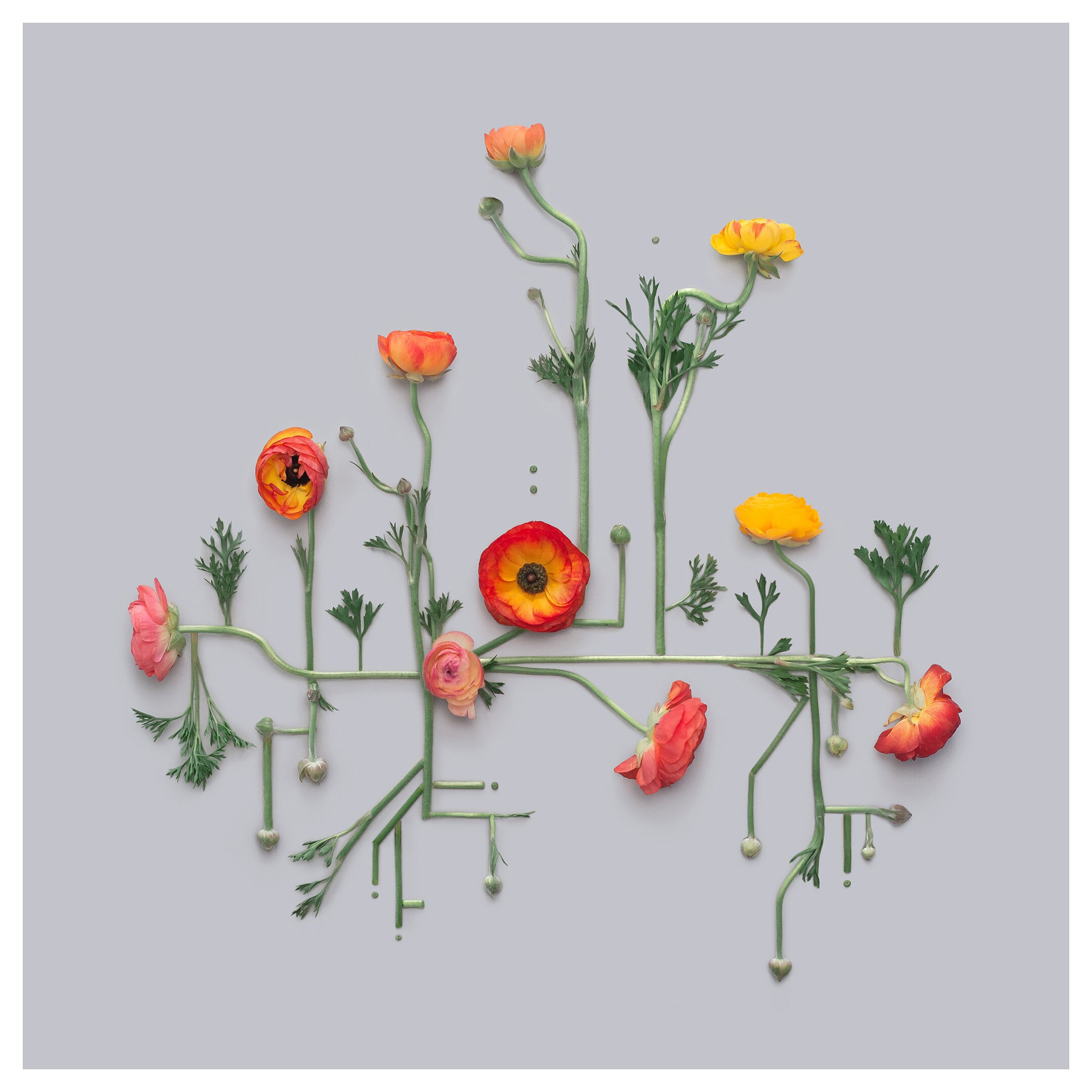 Futuristic Flowers - Etsy