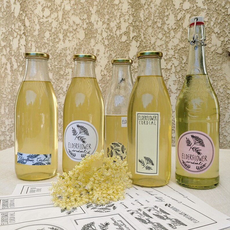 SERBO-CROATIAN LABELS Elderflower Cordial Label Instant Download ...