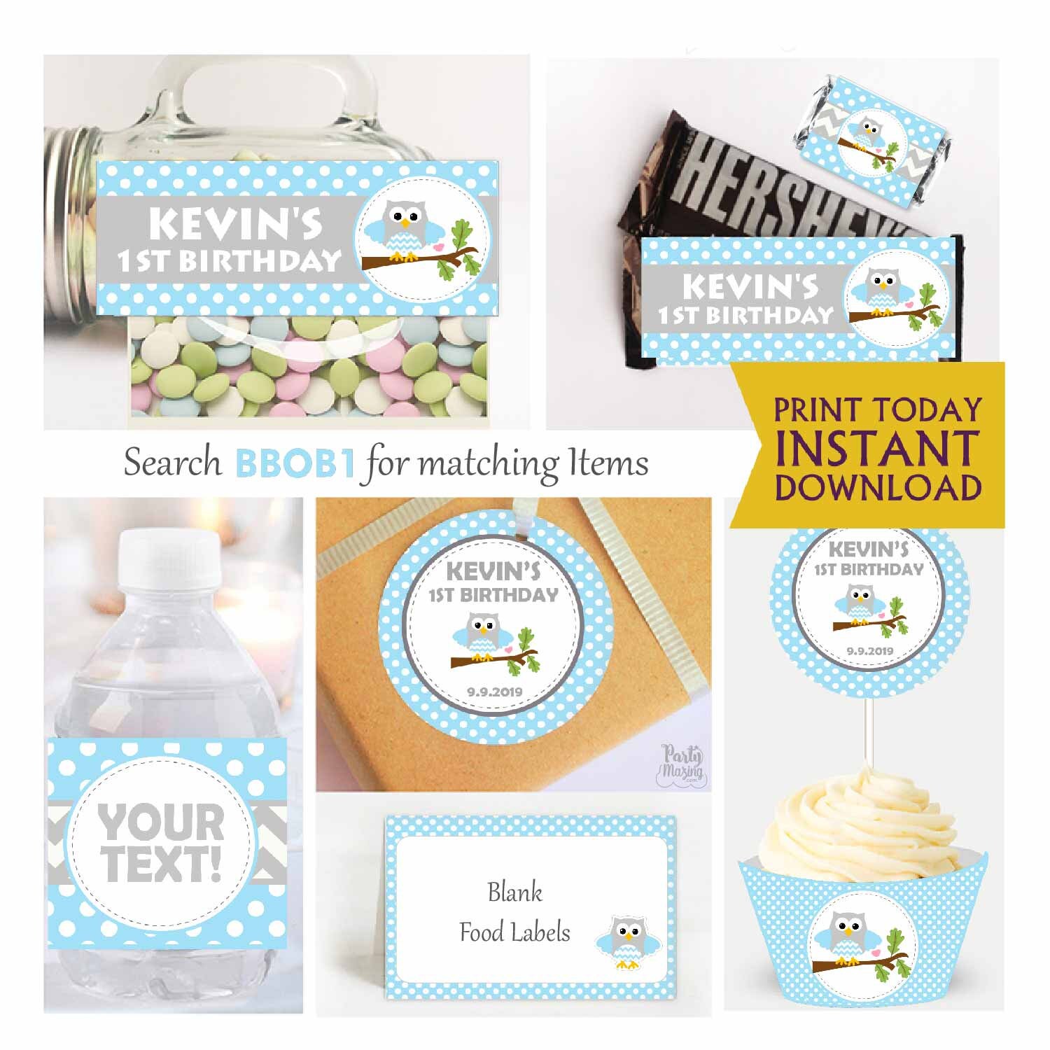 Blue Owl Kids Birthday Full Party Decoration Pack PK01 - Etsy