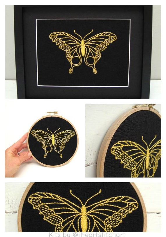 Butterfly Phaloe Cubana Entomology Anatomy Biology Taxidermy Insect ...