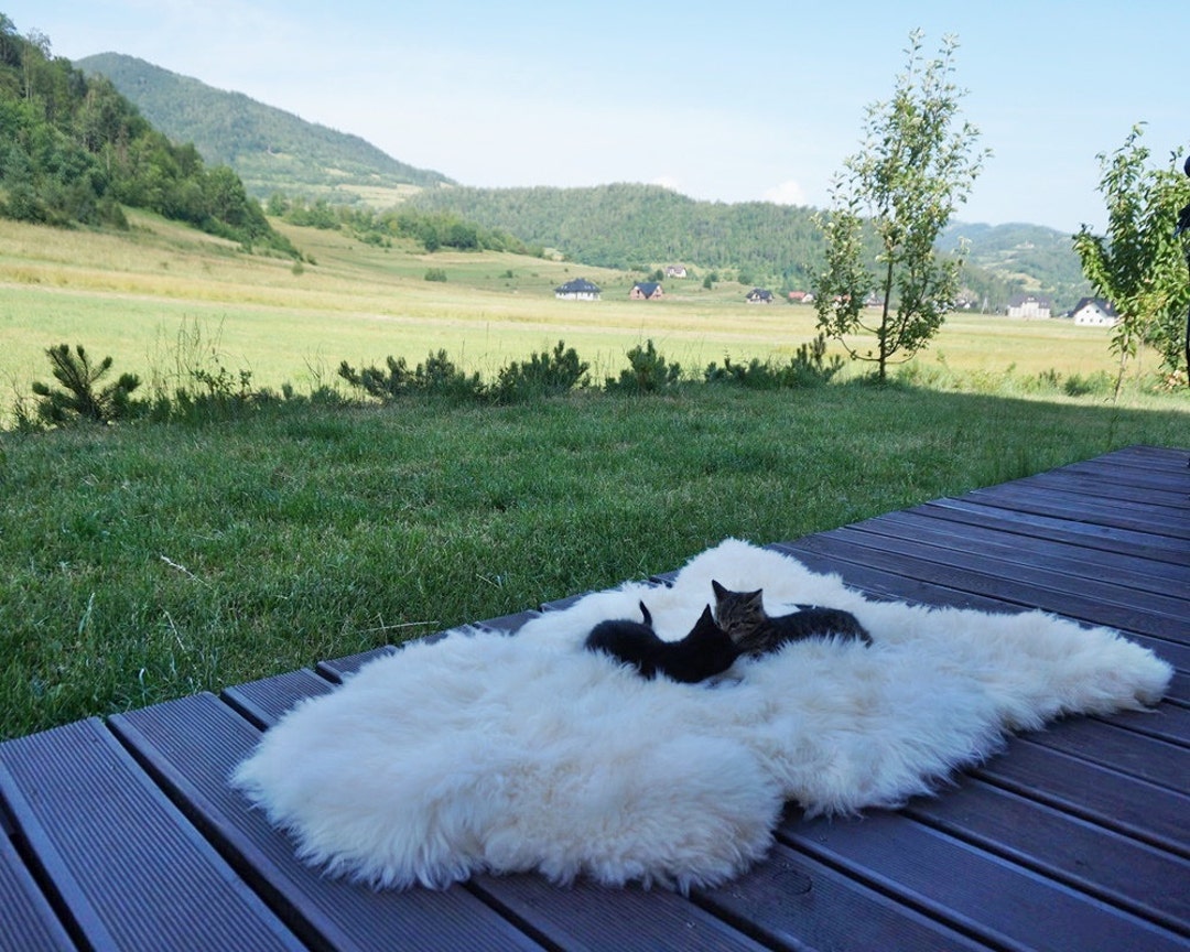 Original BIG Xl White Genuine Natural Sheepskin Rug Exclusive Rug ...