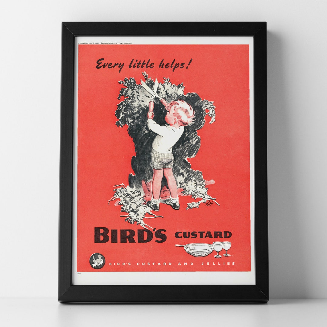 Birds Custard Advert Poster: 1948 Vintage Kitchen Wall Art - Etsy