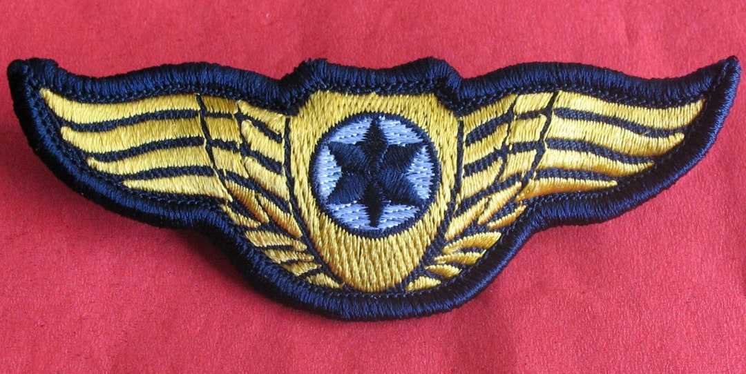 RARE: First IAF Graduates Golden Pilot Wings IDF Israel Star of David ...