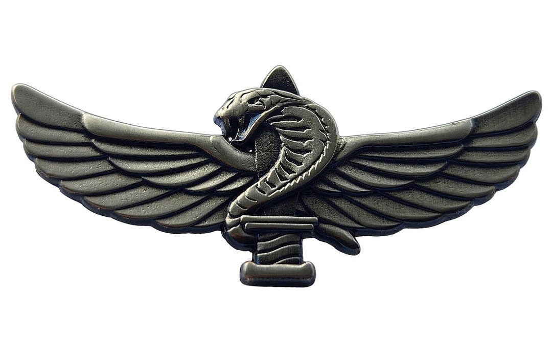 Israeli Army IDF PARATROOPER Brigade Fighter WINGS Badge - Etsy