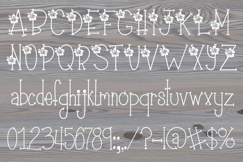 Hibiscus Font | Beach Font | Monogram Font | Flower Font | True Type ...
