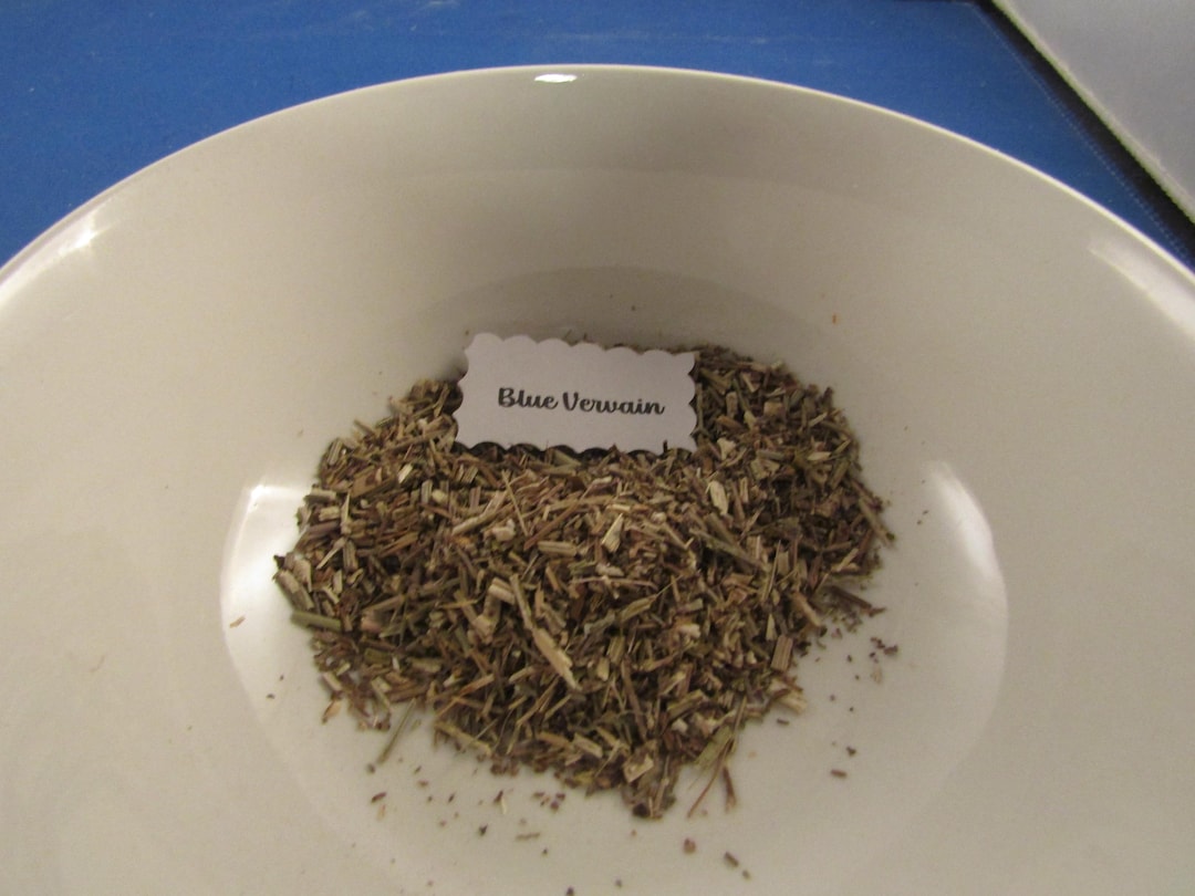Blue Vervain, 1 Oz. Pkg. - Etsy