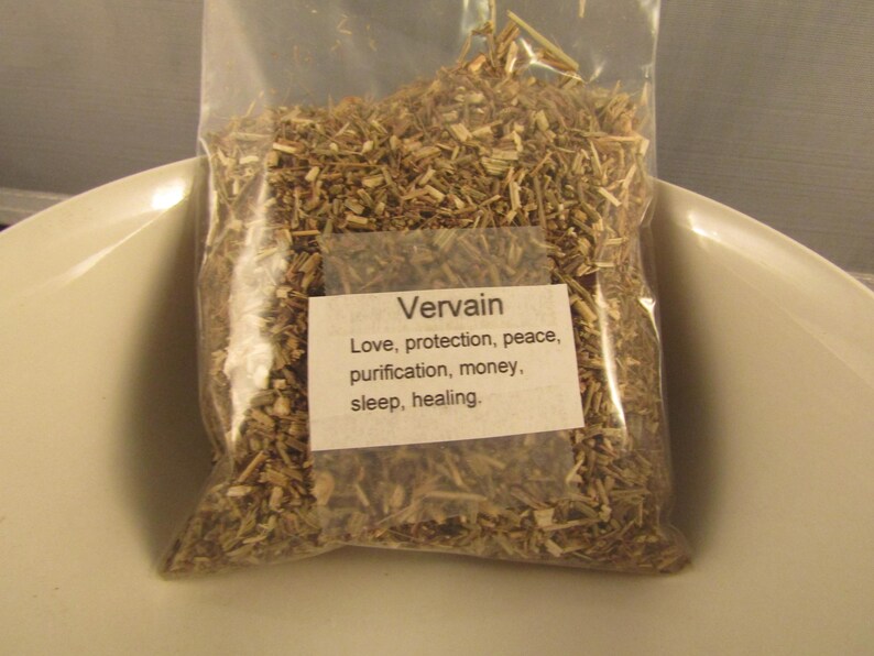 Blue Vervain, 1 Oz. Pkg. - Etsy