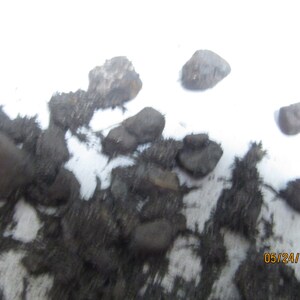 Lodestone Natural With Food - Etsy