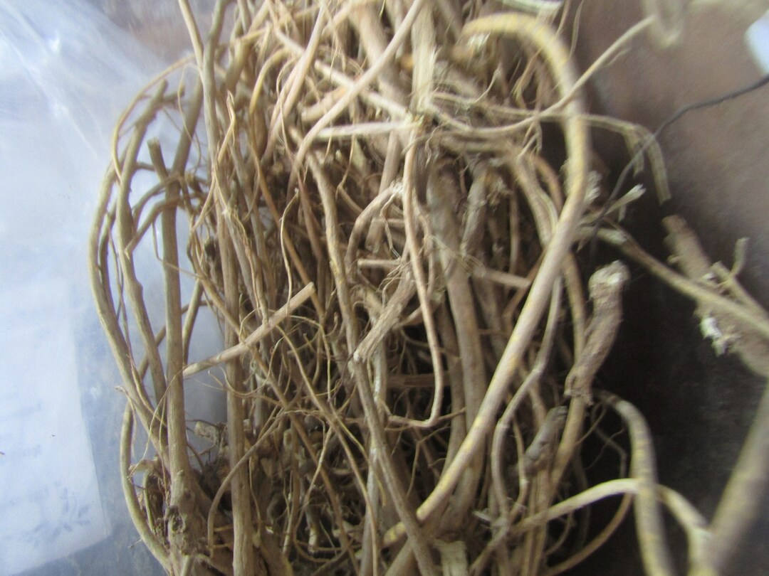 Devil's Shoestring, Full 1 Oz. Bag, Luck, Love, Protection - Etsy