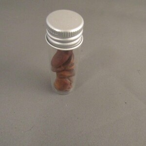 Fava Beans, Mojo Beans, Saint Joseph Beans, African Wishing Beans, Set ...