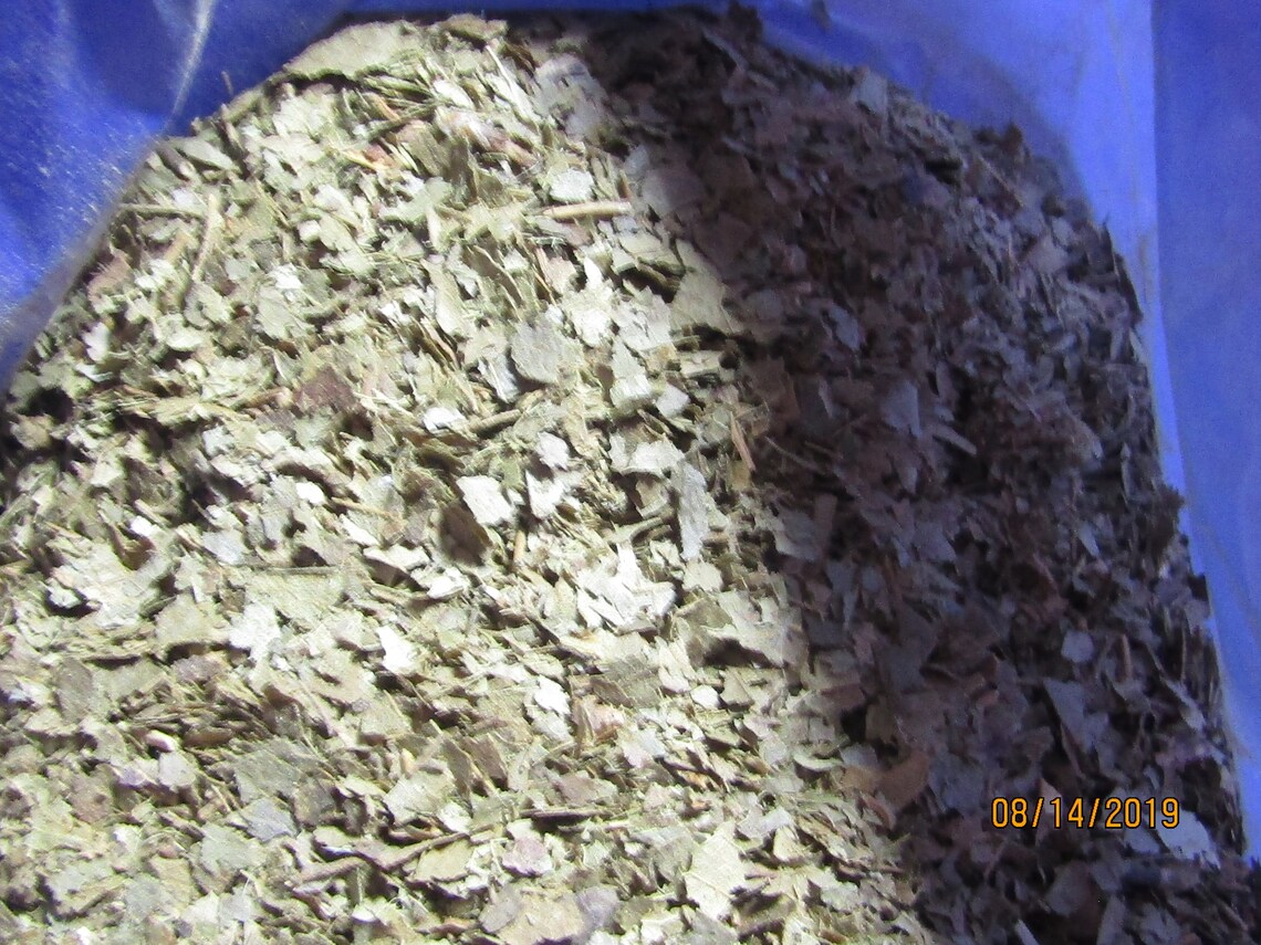 Sassafras 1 Oz Bag | Etsy