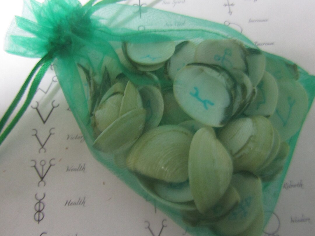 Janarric Sea Shell Runes: Sacred Pagan Divination Set - Etsy