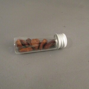 Fava Beans, Mojo Beans, Saint Joseph Beans, African Wishing Beans, Set ...