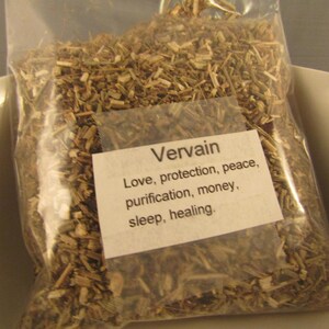 Blue Vervain, 1 Oz. Pkg. - Etsy