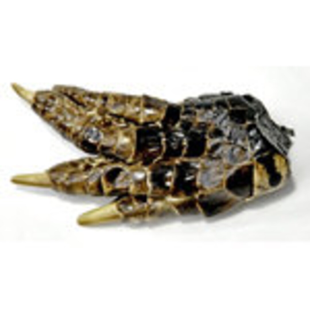 Alligator Claw, Small or Large Claw, Pata De Cocodrilo - Etsy